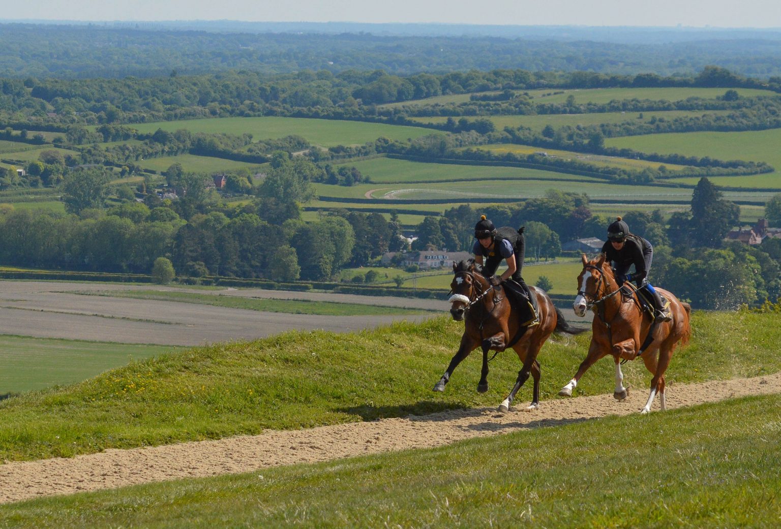 Andrew Balding to train for Pimlico Racing in 2022 | Pimlico Racing