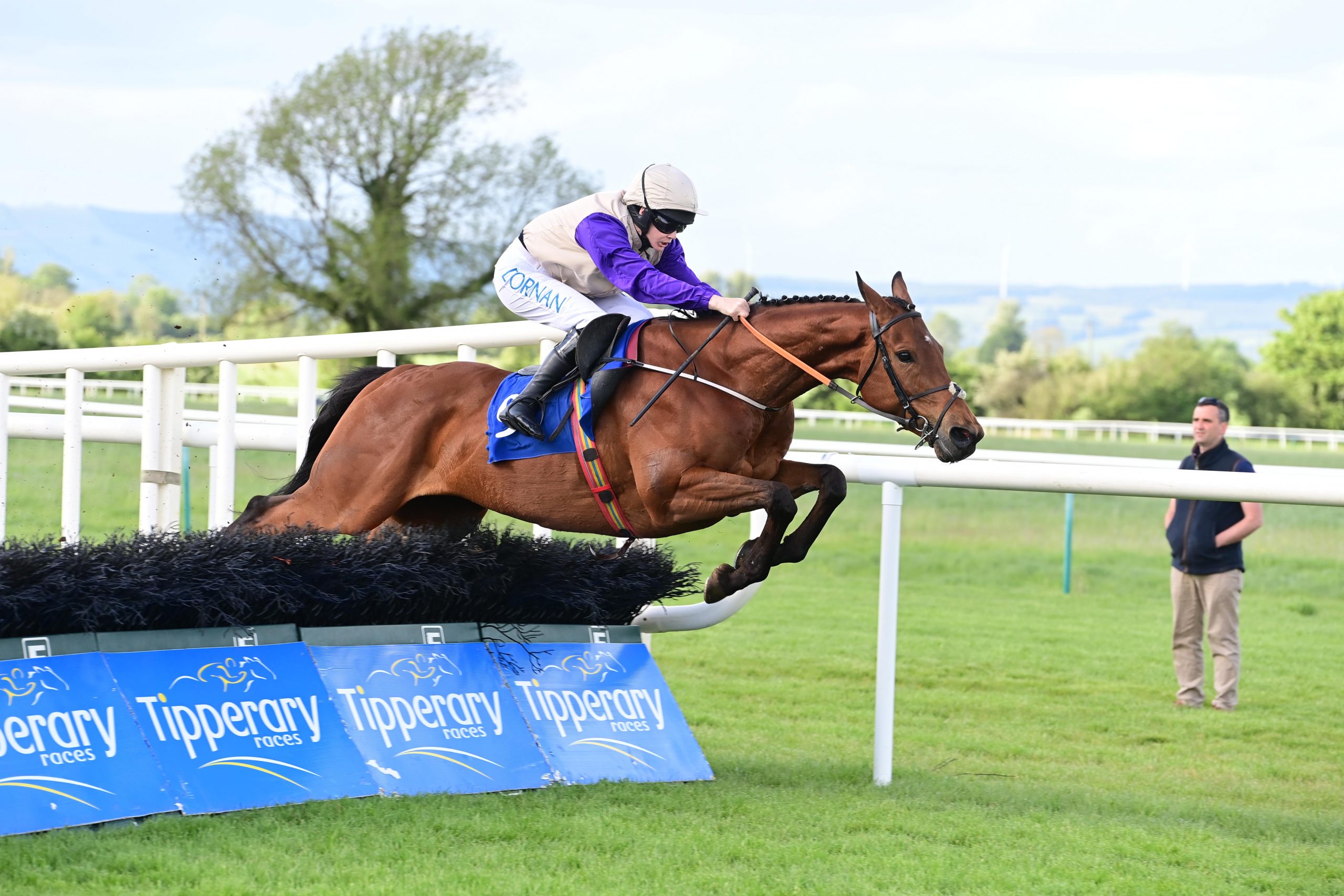 Pimlico Racing | Pimlico Racing