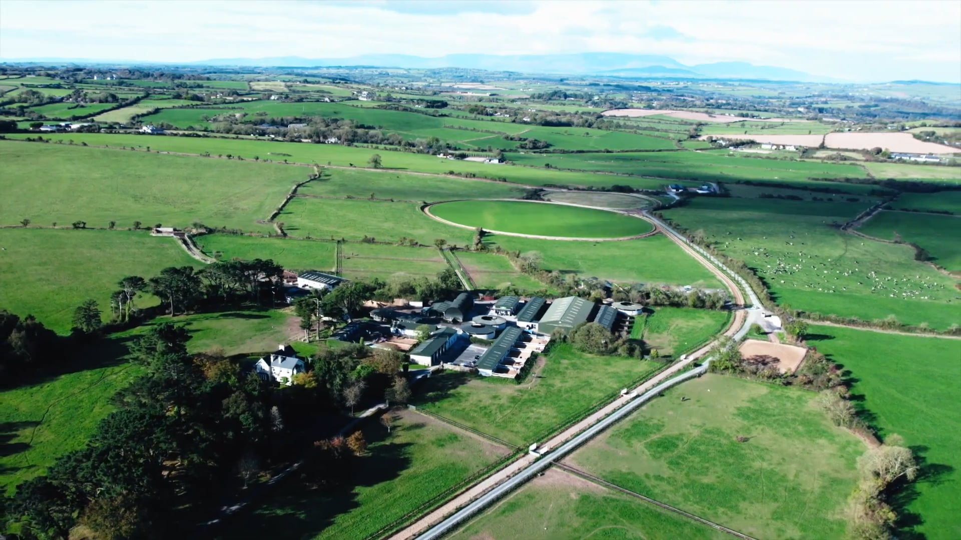 The Pimlico Experience | Best Horse Racing Syndicate UK